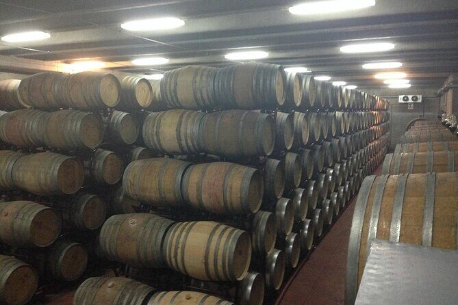 Visit to a Winery in Salento with Wine tasting and light lunch. From Lecce - In-Depth Review of the Salento Winery Tour