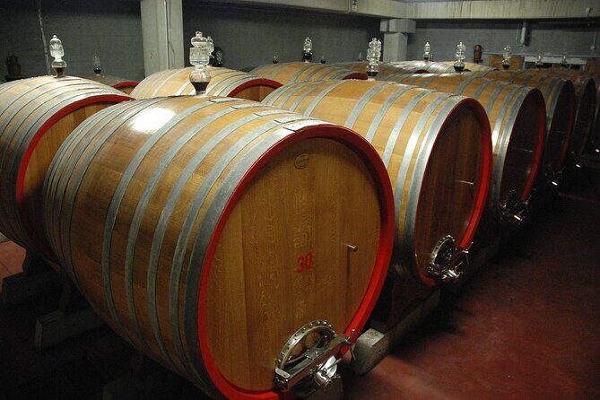 Visit to a Winery in Salento with Wine tasting and light lunch. From Lecce - The Itinerary Breakdown