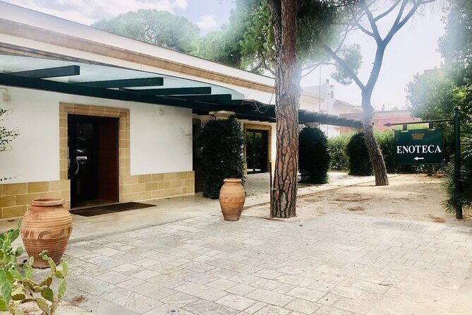 Visit to a Winery in Salento with Wine tasting and light lunch. From Lecce - The Review from Past Guests