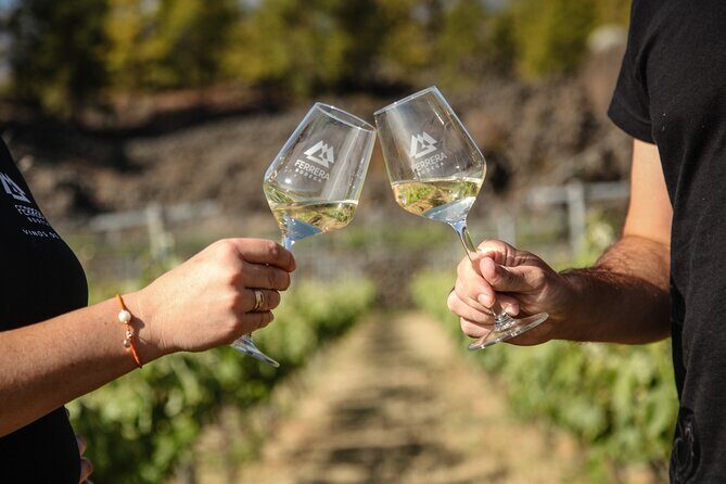 Visit to Arafo Mountain Vineyard and Organic Wine Tasting - Who Should Consider This Tour?
