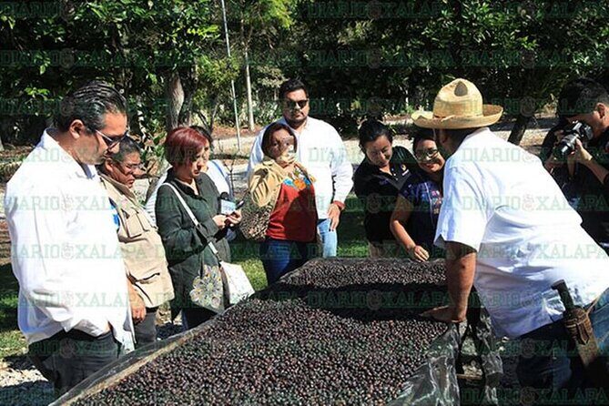 Visit to Coffee Farm with Tasting in Coatepec - Final Thoughts