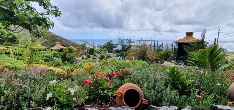 Visit to Madeira Bird Island - Key Points