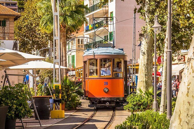 Visit to Sóller and Valldemossa - Final Thoughts: Who Should Consider This Tour?