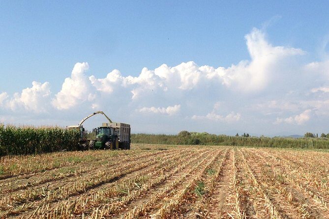 Visit to the Bufale and Dairy farm with cheese tasting - Frequently Asked Questions