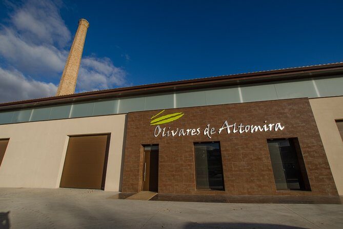 Visit to the oil mill with EVOO experiences in Cuenca - What to Expect: A Deep Dive into the Olive Oil Journey