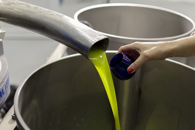 Visit to the oil mill with EVOO experiences in Cuenca - Analyzing the Cost and Value