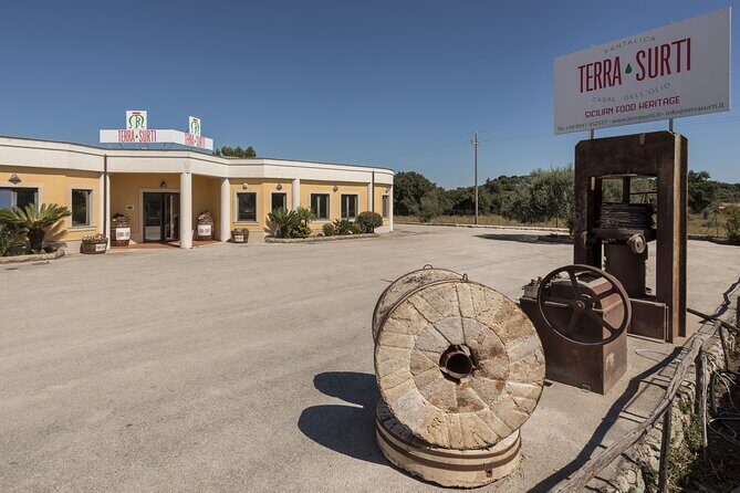 Visit to the olive grove, oil tasting and lunch at the farm - Who Will Love This Experience?