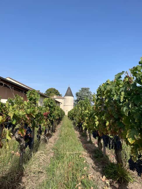 Visit to the property and wine/cheese pairing workshop - Summing Up: Is This Tour for You?  