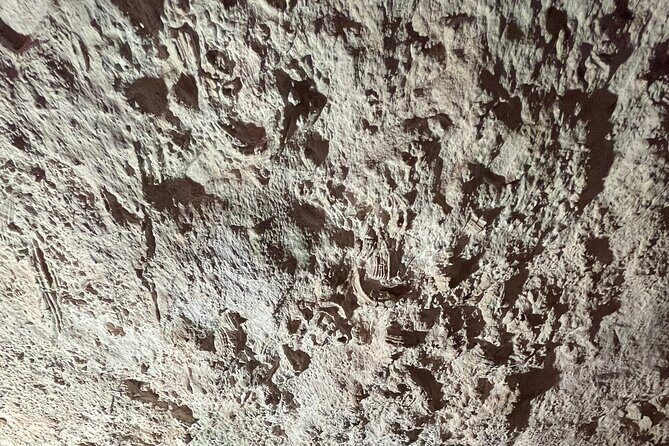 Visit to the Red Hypogeum Oil Mill of Martina Franca - Key Points