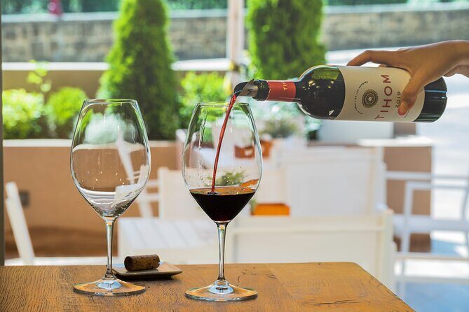 Visit to the winery with a tasting of 3 wines and appetizers - The Value of the Experience