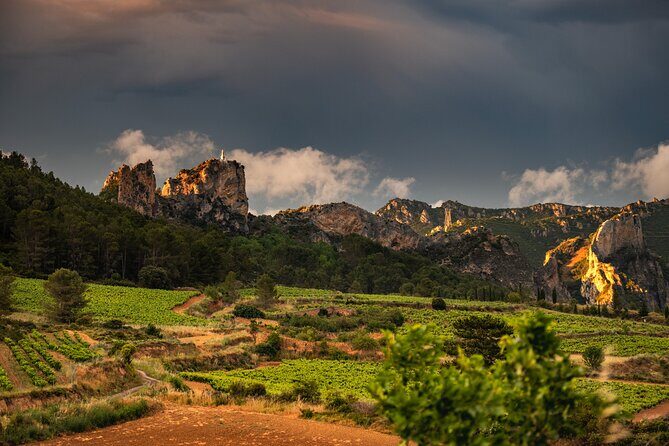 Visit to the winery with a tasting of 3 wines and appetizers - The Reviews Speak Volumes