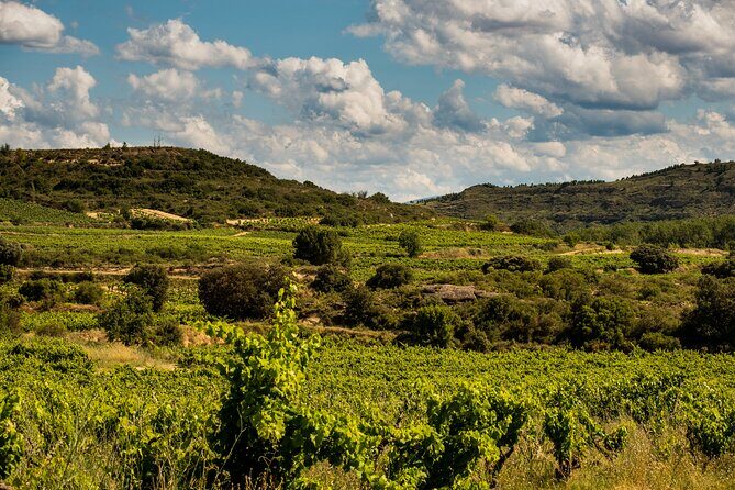 Visit to the winery with a tasting of 3 wines and appetizers - Practical Tips for Your Visit