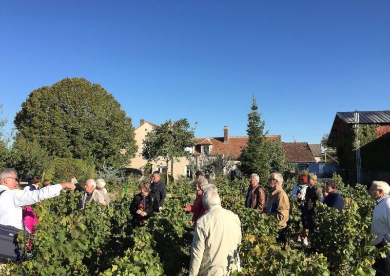 Visite et Dégustation Chablis Clotilde Davenne en français - Final Thoughts
