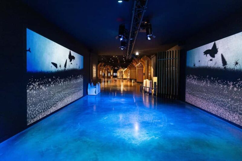 Visitor trail of the Cité in Beaune - The Practicalities: Value, Accessibility, and Tips