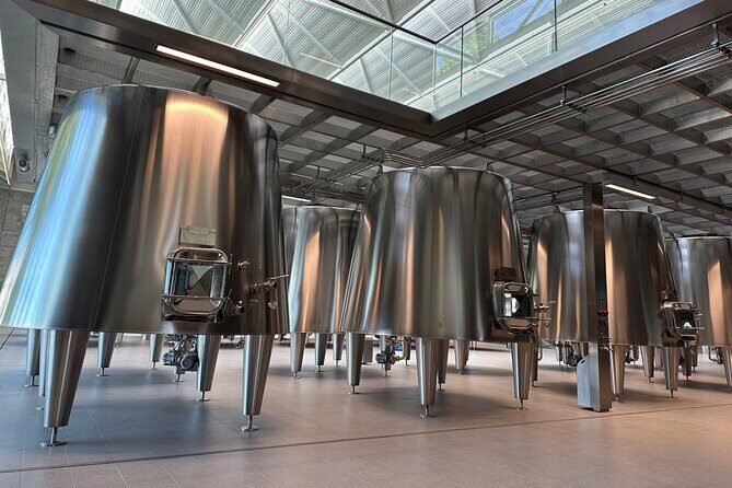 Visits and Tastings in the Médoc in Small Group with Meal - Who Should Consider This Tour?