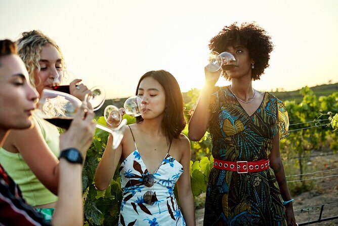 Vistas and Wines: Adelaides Gems and Wine Private Tour - Vistas and Wines: Adelaide’s Gems and Wine Private Tour