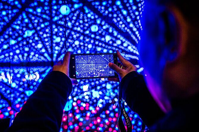 Vivid Sydney Walking Tour Lights, Stories and Secret Spots - What to Expect from the Vivid Sydney Walking Tour