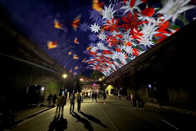 Vivid Sydney Walking Tour Lights, Stories and Secret Spots - Final Thoughts