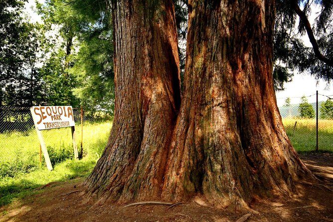 Vladeasa Peak and Bride's Waterfall Day Hike - The Itinerary Breakdown: What to Expect from Start to Finish