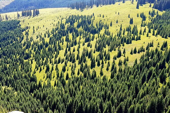 Vladeasa Peak and Bride's Waterfall Day Hike - Authentic Experiences and Genuine Safety