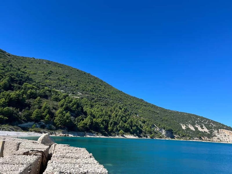 Vlore: Explore Sazan Island & Haxhi Ali Cave by Speedboat - Authentic Insights from Reviewers