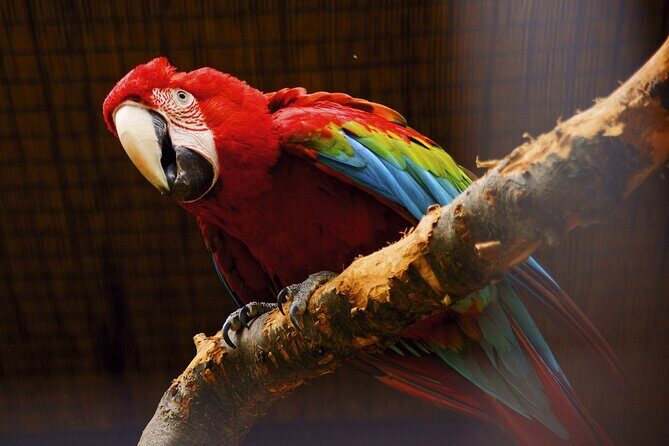 Vltava River Boat Trip and Zoo Entrance Ticket in Prague - The Sum Up