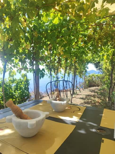 Volastra: BarCa Wine Tasting in Cinque Terre and Pesto Class - An In-Depth Look at the Volastra: BarCa Wine Tasting and Pesto Class