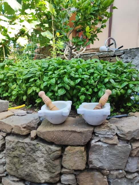 Volastra: BarCa Wine Tasting in Cinque Terre and Pesto Class - Frequently Asked Questions