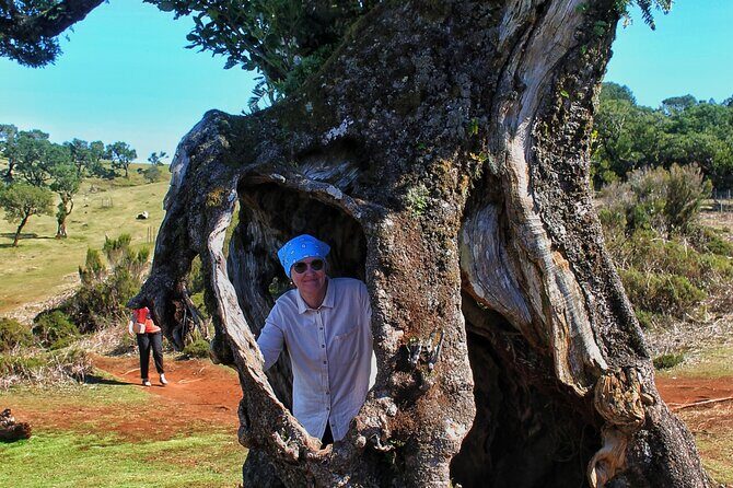 Volcanic Pools and Northwest 4WD Full Day Tour - Final Thoughts