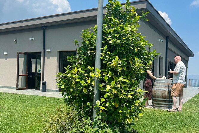 Volcano Etna Tour Wine Tasting Lunch in the Cellar Transfer - The Itinerary and What to Expect