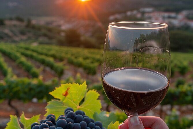Volcano Etna Tour Wine Tasting Lunch in the Cellar Transfer - Who Should Consider This Tour?