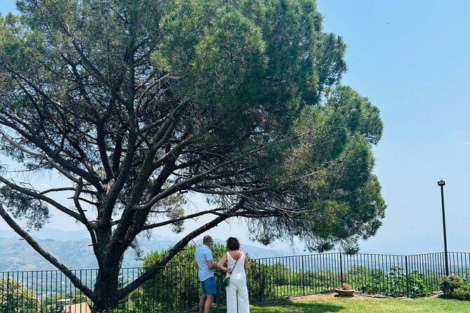 Volcano Etna Tour Wine Tasting Lunch in the Cellar Transfer - FAQ