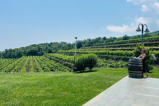 Volcano Etna Tour Wine Tasting Lunch in the Cellar Transfer - Final Thoughts
