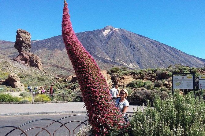 Volcano Teide - Masca ravine. Guided Tour from Puerto de la Cruz - Tenerife - The Sum Up