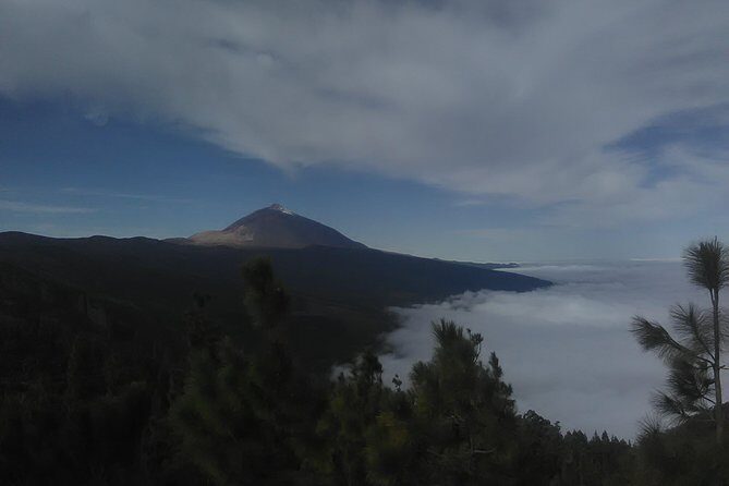 Volcano Teide National Park And North Of The Island VIP TOUR - Who is this tour for?  