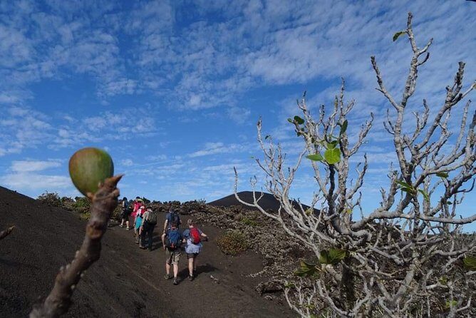 Volcano Trekking Tour (Timanfaya eruptions) - Why This Tour Offers Great Value