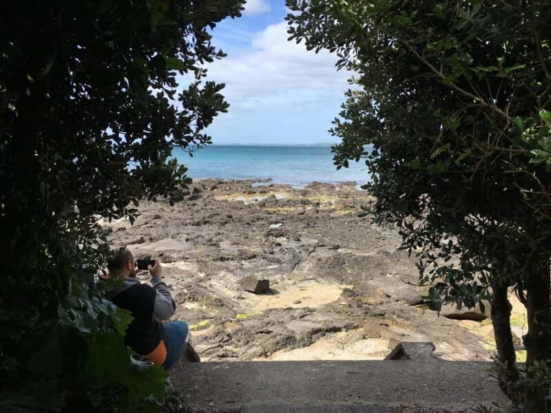 Volcanoes, Coast & Secret Spots Afternoon Tour from Auckland - Key Points