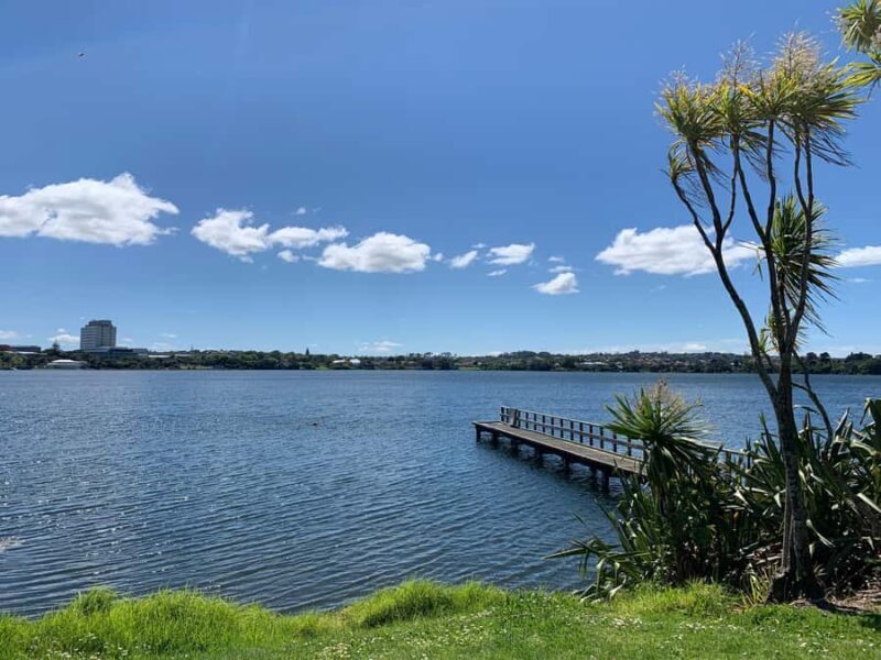 Volcanoes, Coast & Secret Spots Afternoon Tour from Auckland - Who Will Love This Tour?