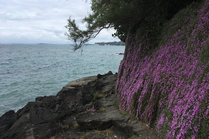 Volcanoes, Coasts, and Secret Spots Afternoon Tour in Auckland - Final Thoughts