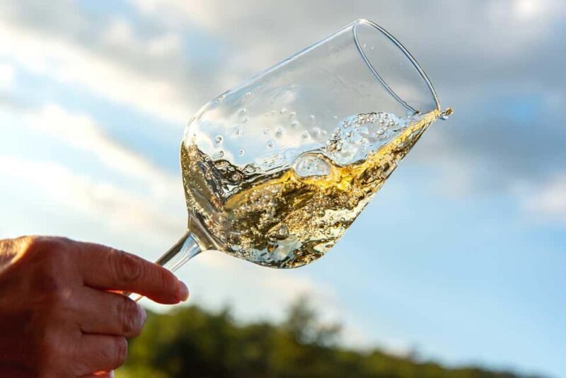Volterra: Winery Tour with Tastings and Panoramic Views - A Detailed Look at the Experience