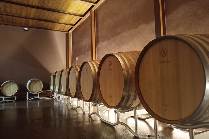 Volterra wines, sensory emotions of organic farming - Introduction