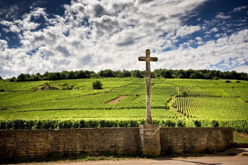 Vosne-Romanée: Private Vineyards Walking Tour with Tasting - Introduction