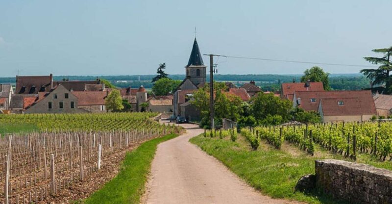 Vosne-Romanée: Private Vineyards Walking Tour with Tasting - Key Points