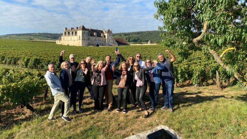 Vosne-Romanée: Private Vineyards Walking Tour with Tasting - Value and Practicalities