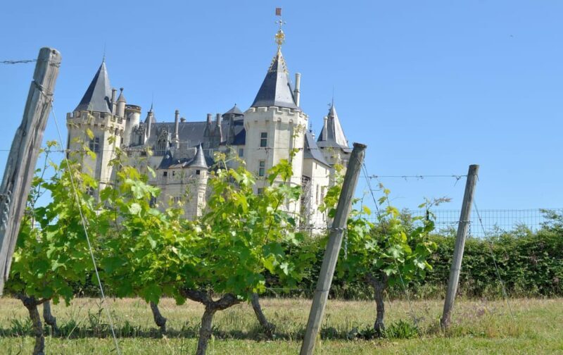 Vouvray wine half-day tour from Tours - Return & Reflection