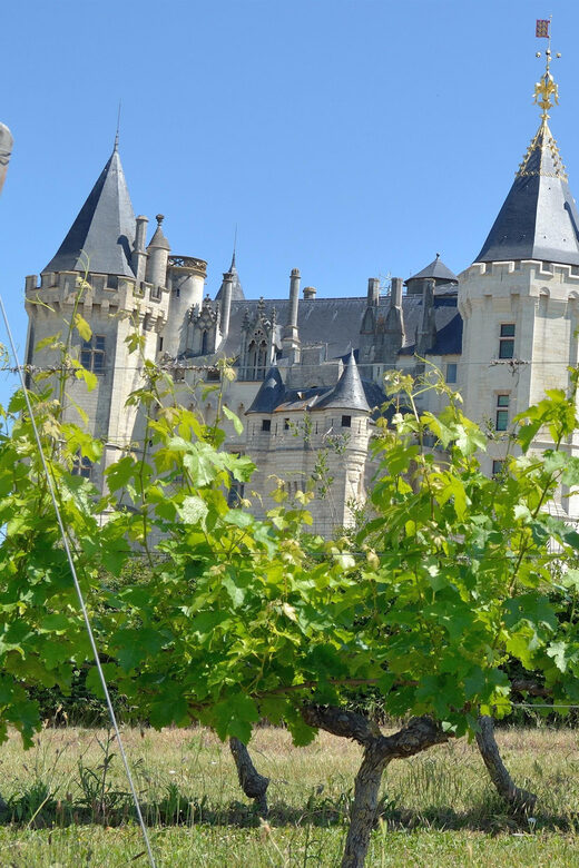 Vouvray wine half-day tour from Tours - The Wineries