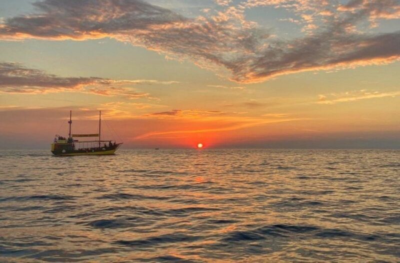 Vrsar: Dolphin Watching Boat Tour including Drinks - The Practical Side: Details and Logistics