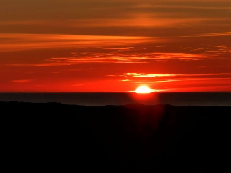 Vrsar: Dolphin Watching Boat Tour including Drinks - Real Guest Insights and Tips