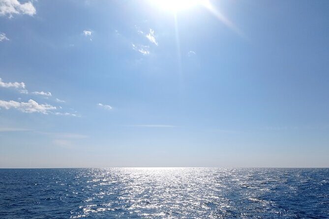 Vrsar, Lim Fjord and Rovinj Day Tour by Boat with Drinks - Who Should Consider This Tour?