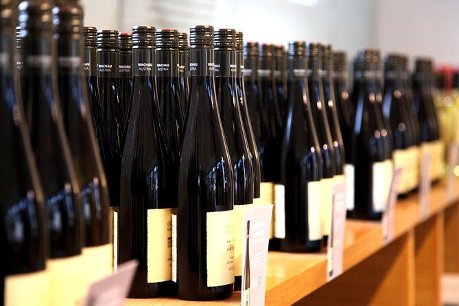 Wachau Valley Wine Tasting Bike Tour from Vienna - Who Will Love This Tour?